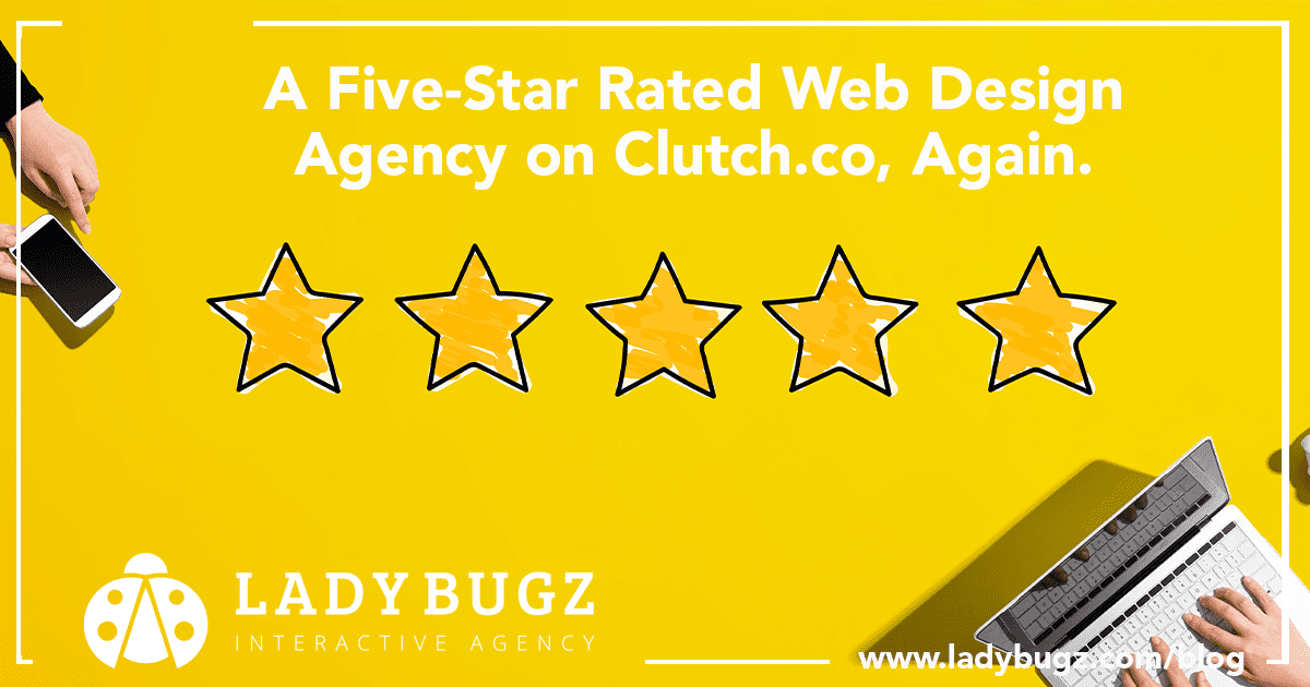 Five-Star Rated Web Design Agency, Ladybugz Interactive in Boston.