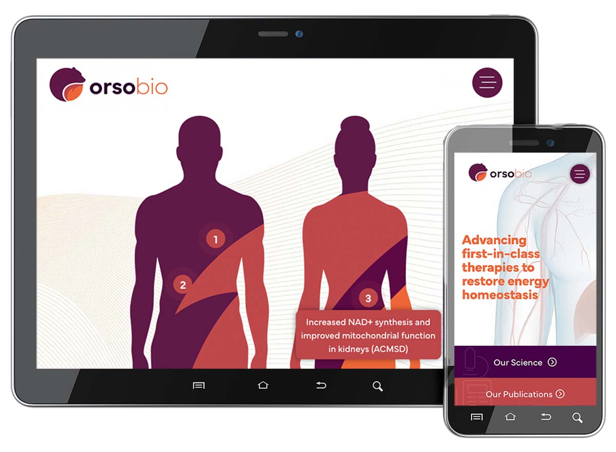 Clinical-Stage Biopharma Website Design for Palo Alto, CA BIotech